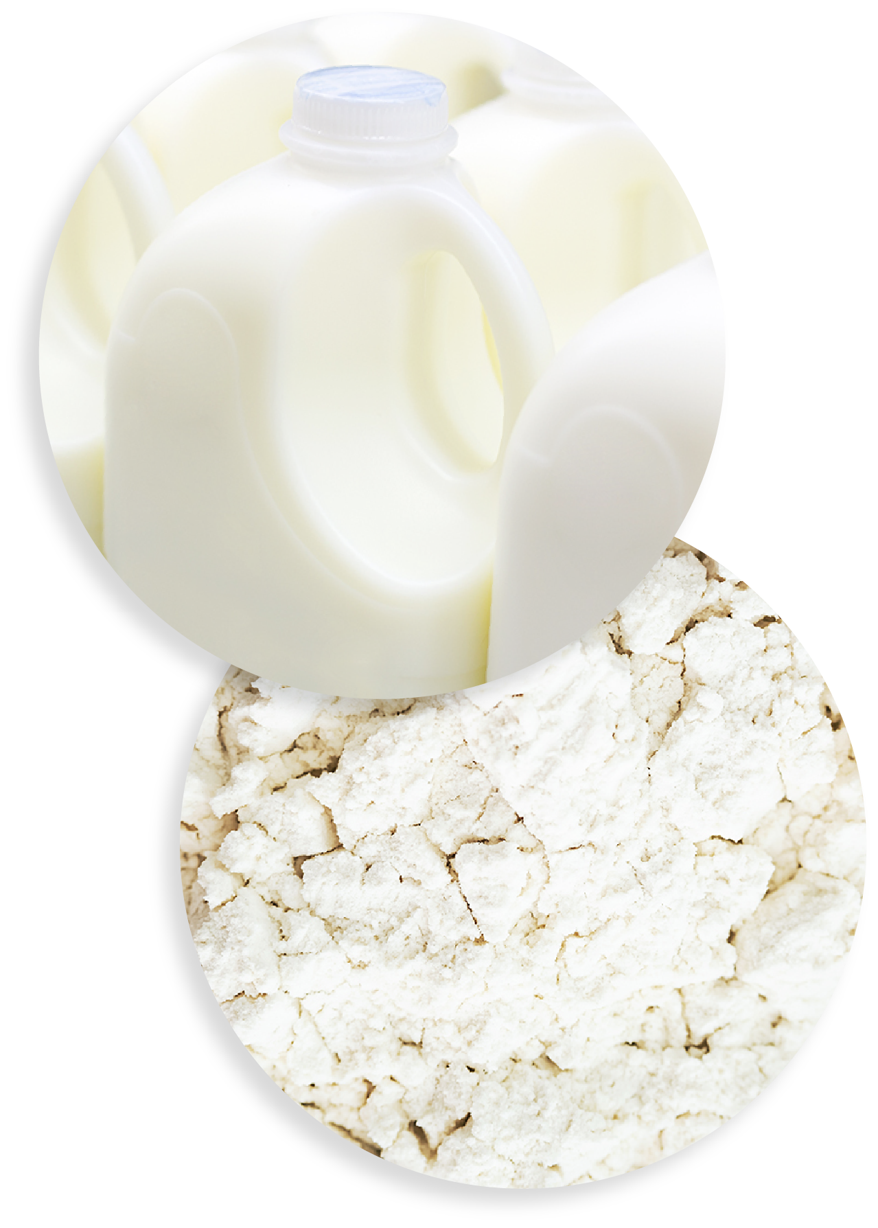 Solutions for Processors – Nutrition 101